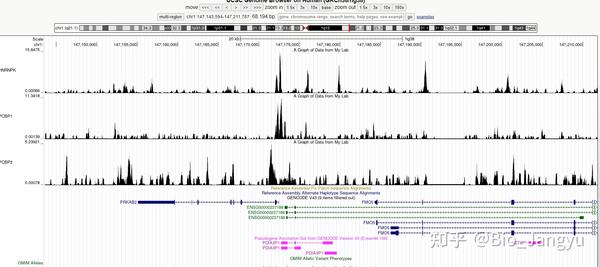 生信小白之路02-bw/bed等文件导入UCSC查看track - 知乎