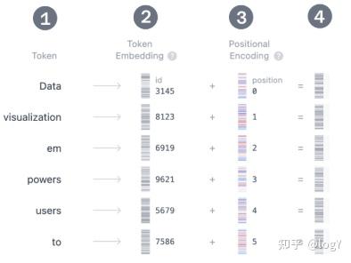 大语言模型学习-transformer-2-embedding - 知乎