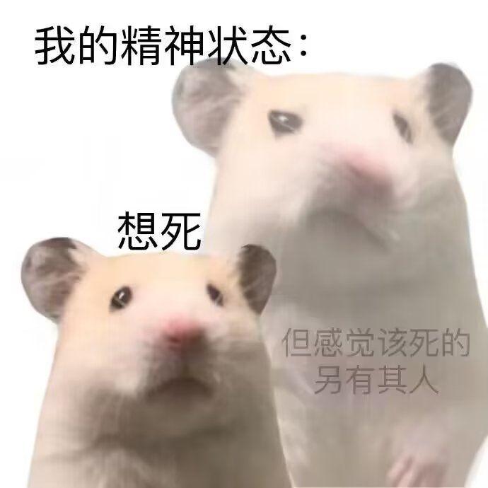 一些精选收藏的表情包 ૮ ´͈ ᗜ `͈ ა♡ 知乎