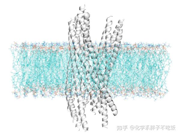 【GROMACS进阶】膜蛋白体系MD模拟教程 - 知乎