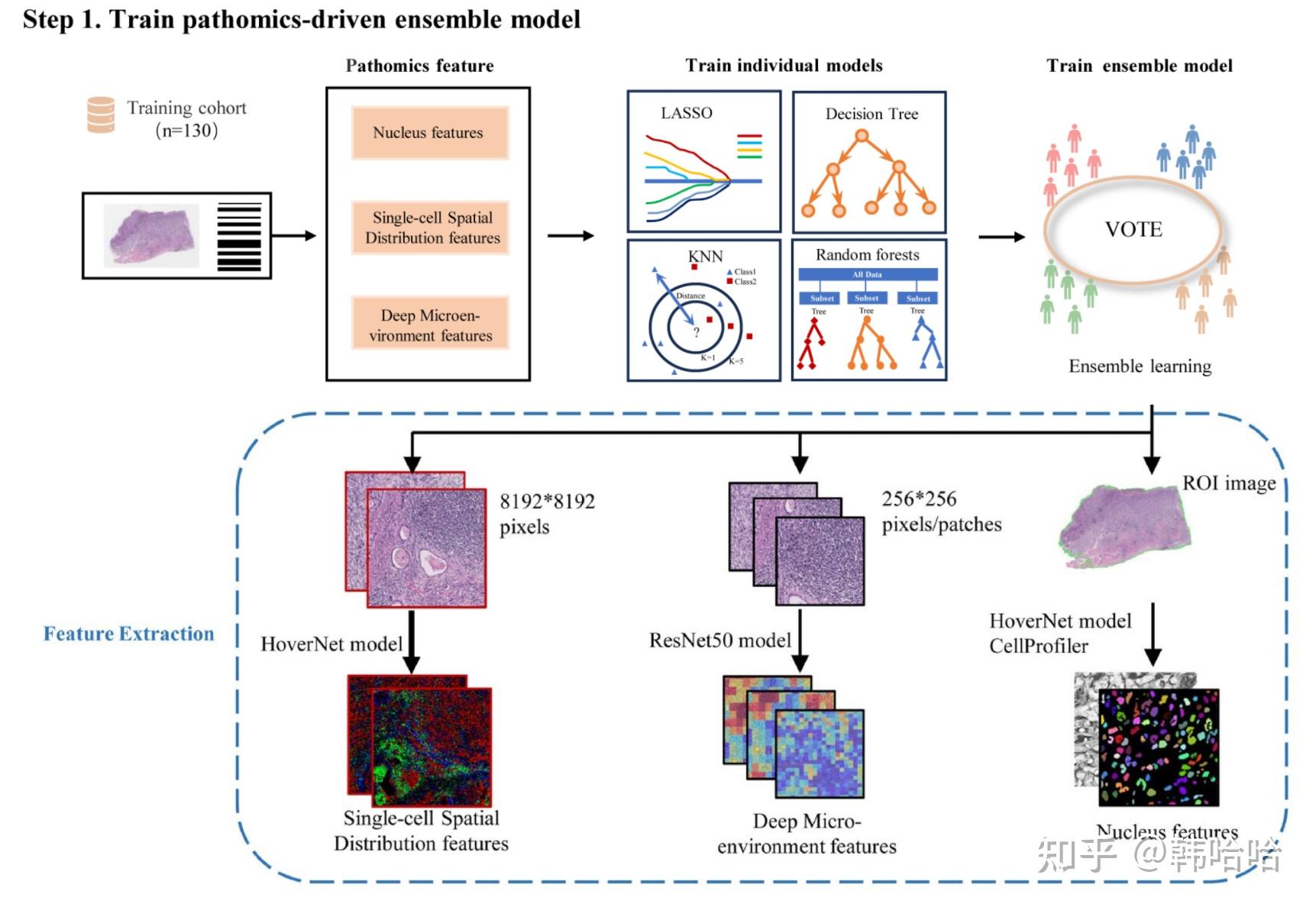 HoVer-Net_安装与应用 - 知乎