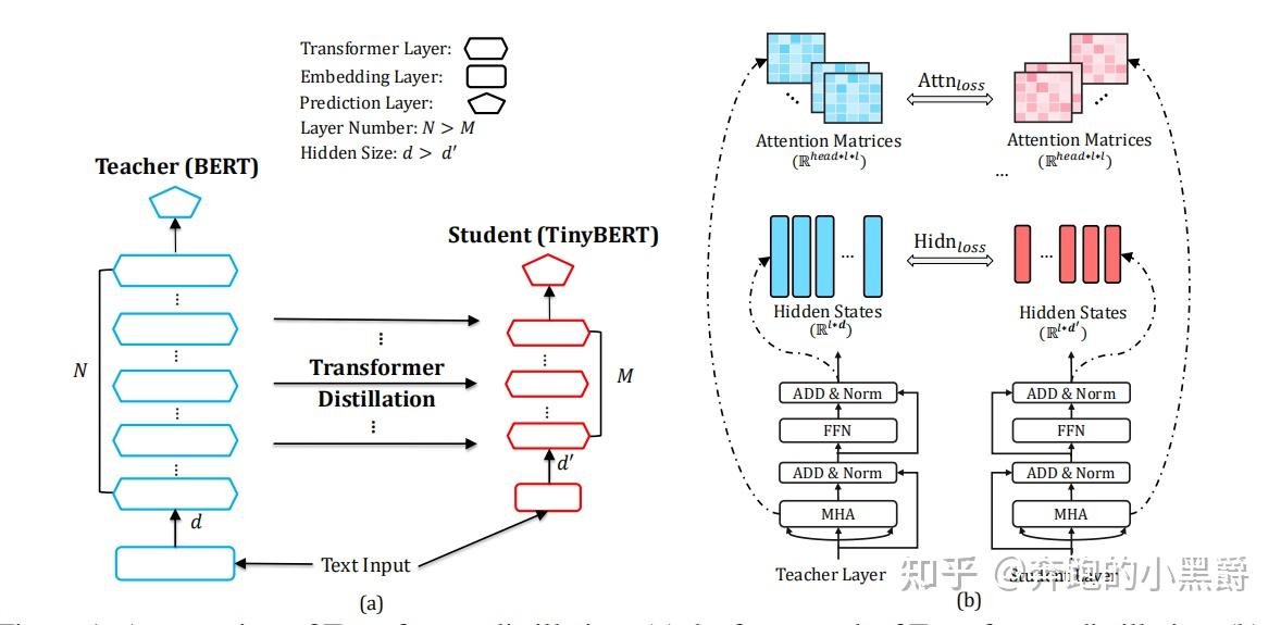 模型压缩之蒸馏篇（上）-tinybert paper和textbrewer笔记 - 知乎