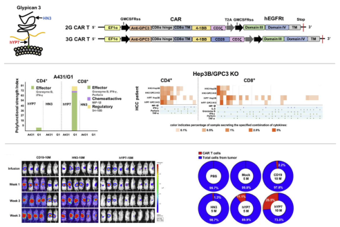 CAR-T细胞质量评估新方法 - 知乎