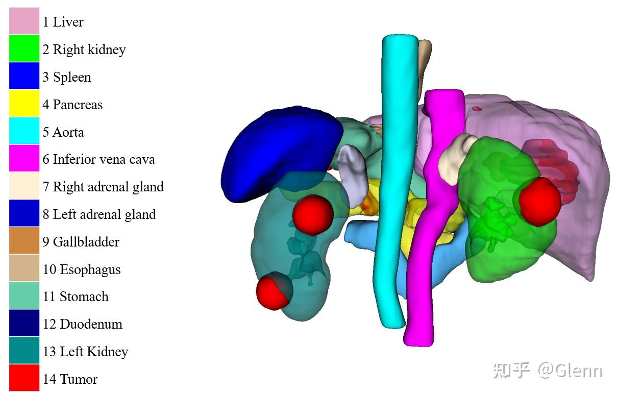 [医学图像竞赛] 推荐 | MICCAI'23 挑战赛速览 - 知乎