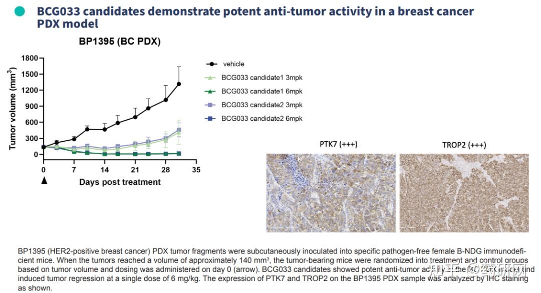 从两款PTK7 ADC看PTK7进展 - 知乎