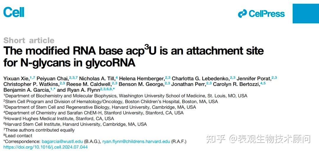 2024 Cell | 修饰的RNA碱基acp3U是glycoRNA中N-聚糖的结合位点 - 知乎