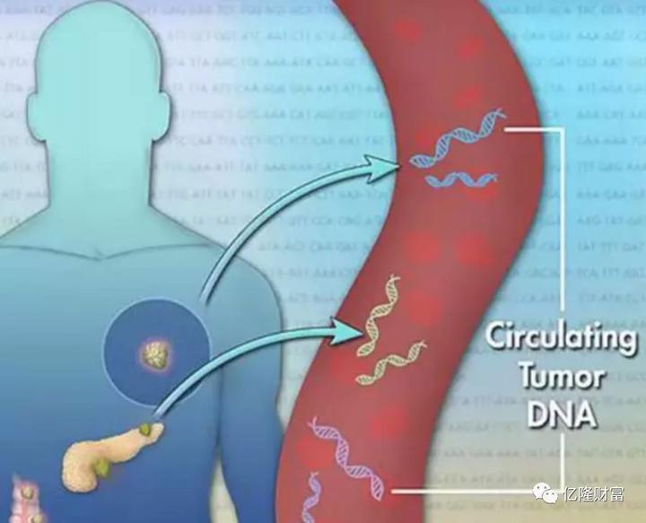 超早期癌症基因筛查ctDNA的意义 - 知乎