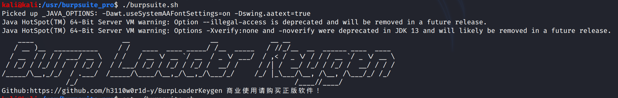 Kali Linux下安装BurpSuite Pro - 知乎