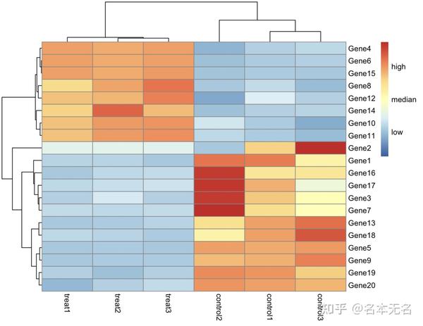 R 数据可视化 —— 聚类热图 pheatmap - 知乎