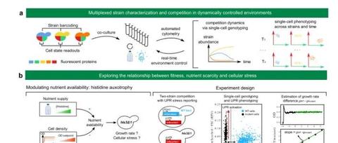 使用 ReacSight 增强生物反应器阵列以实现自动测量和反应控制（下） - 知乎