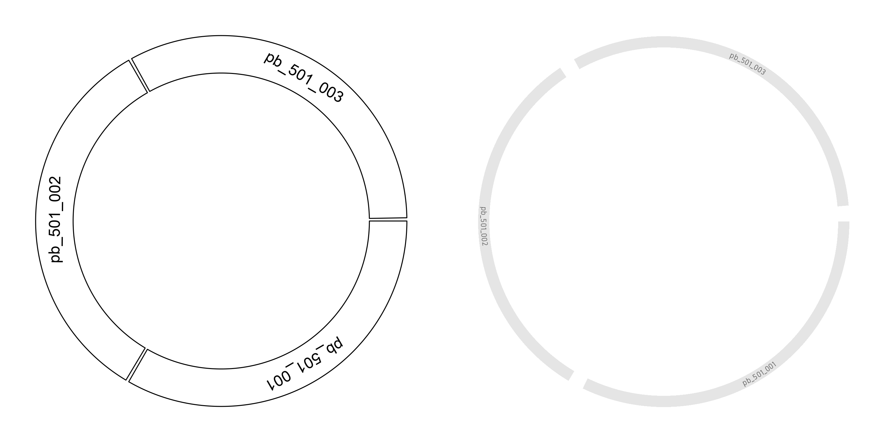 【小刻也能看懂的R数据可视化】好康的circos图（翻译与修改） - 知乎