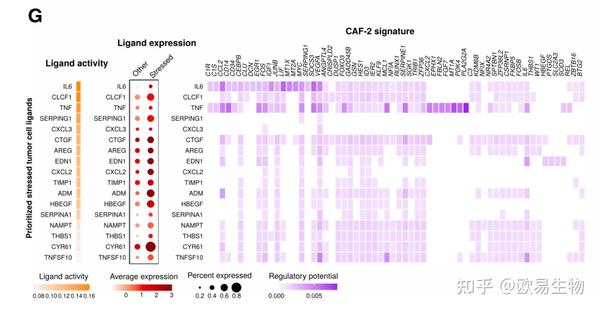 单细胞转录组细胞通讯分析新方法-NicheNet - 知乎