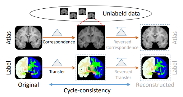 CVPR 2020 论文大盘点-医学影像处理识别篇 - 知乎
