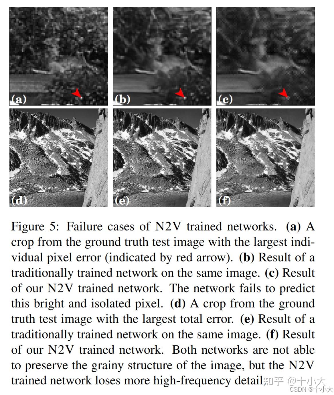 CVPR 2019 | N2V：降维打击！图像对输入变成像素对输入！盲点自监督去噪开山之作！ - 知乎