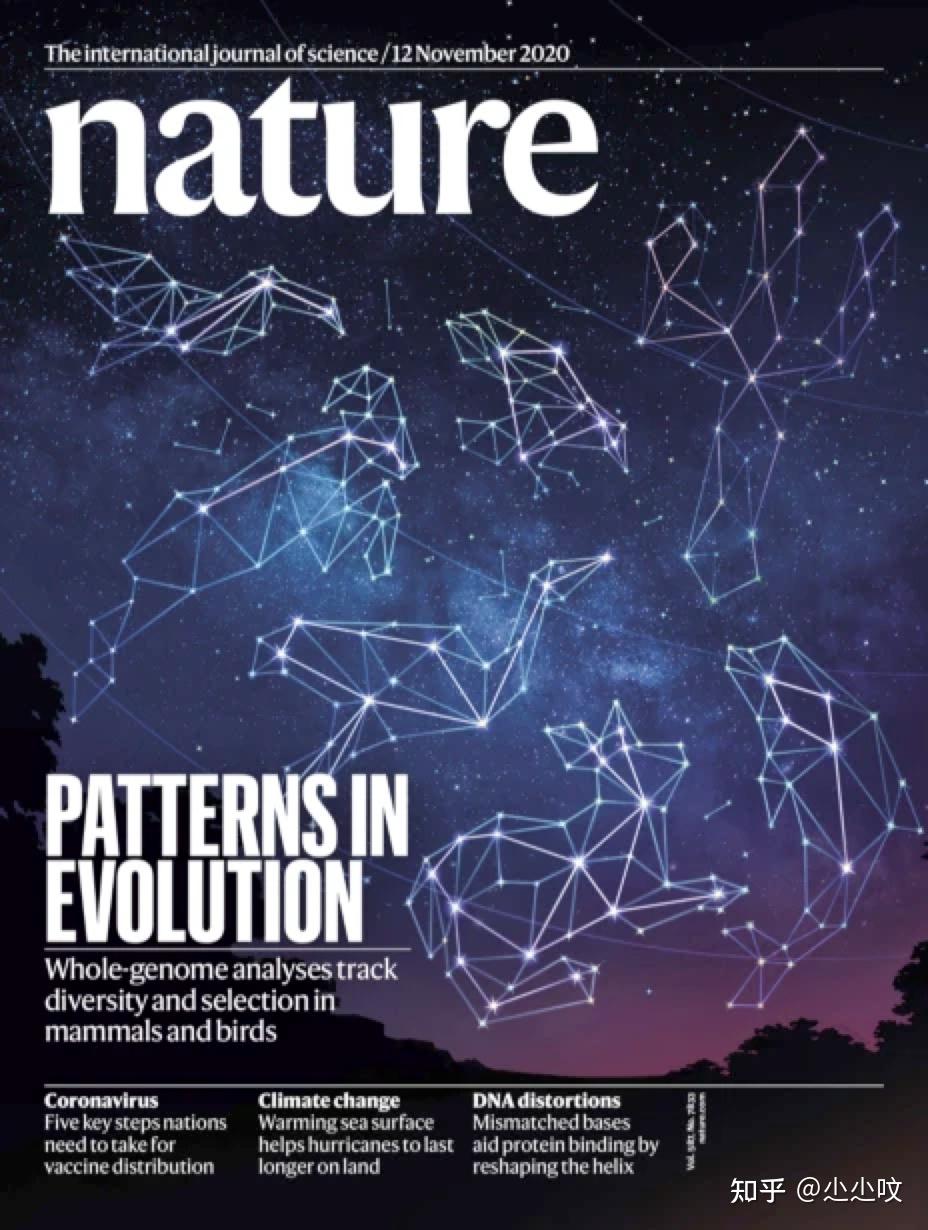 CNGBdb支撑发表科研成果登上《Nature》封面：万种鸟类基因组计划第二阶段（科级别）最新研究进展 - 知乎