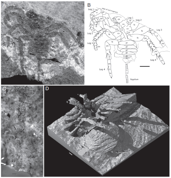 【地球演义】铁虿狰狞8：入我彀中 - 知乎