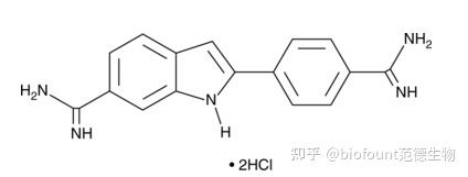 DAPI荧光染料（28718-90-3,DAPI Dihydrochloride） - 知乎