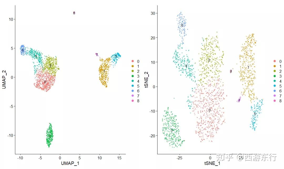 单细胞工具箱|singleR-单细胞类型自动注释（含数据版） - 知乎