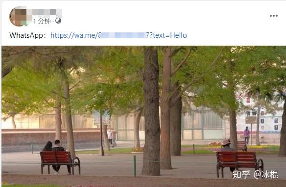 干货！WhatsApp超实用小技巧 - 知乎