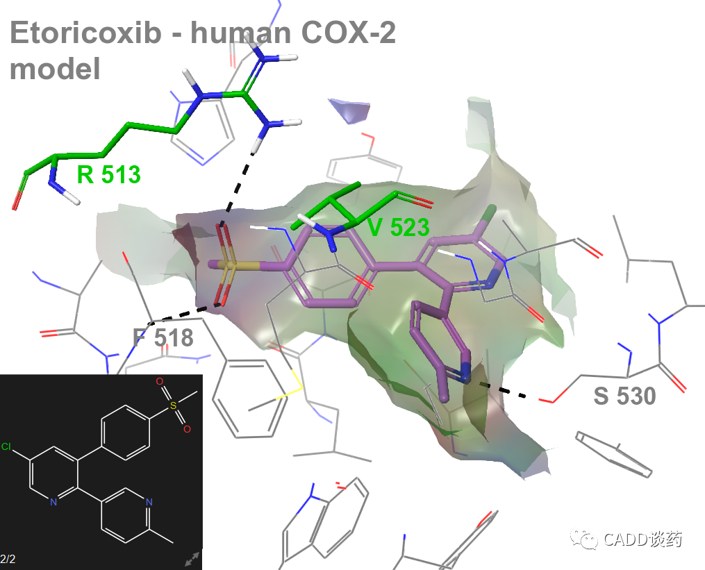看两个选择性COX-2抑制剂 - 知乎