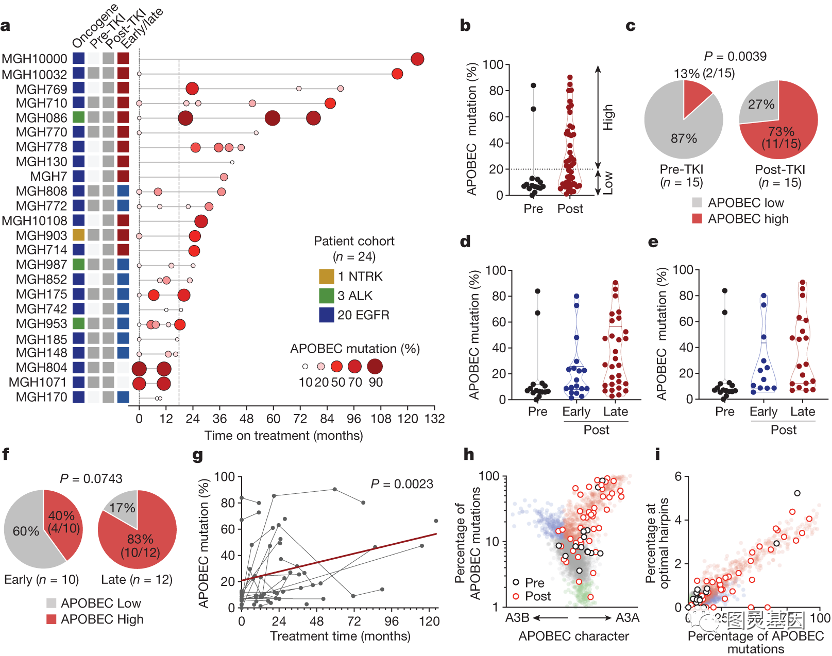 Nature ｜ 治疗诱导的APOBEC3A驱动耐药癌细胞进化 - 知乎