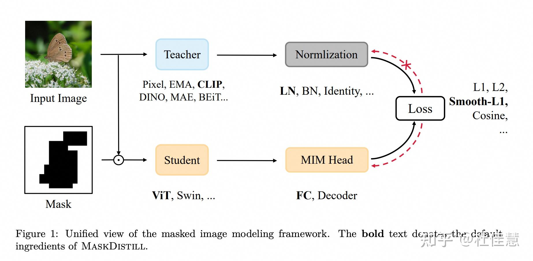 A Unified View of Masked Image Modeling - 知乎