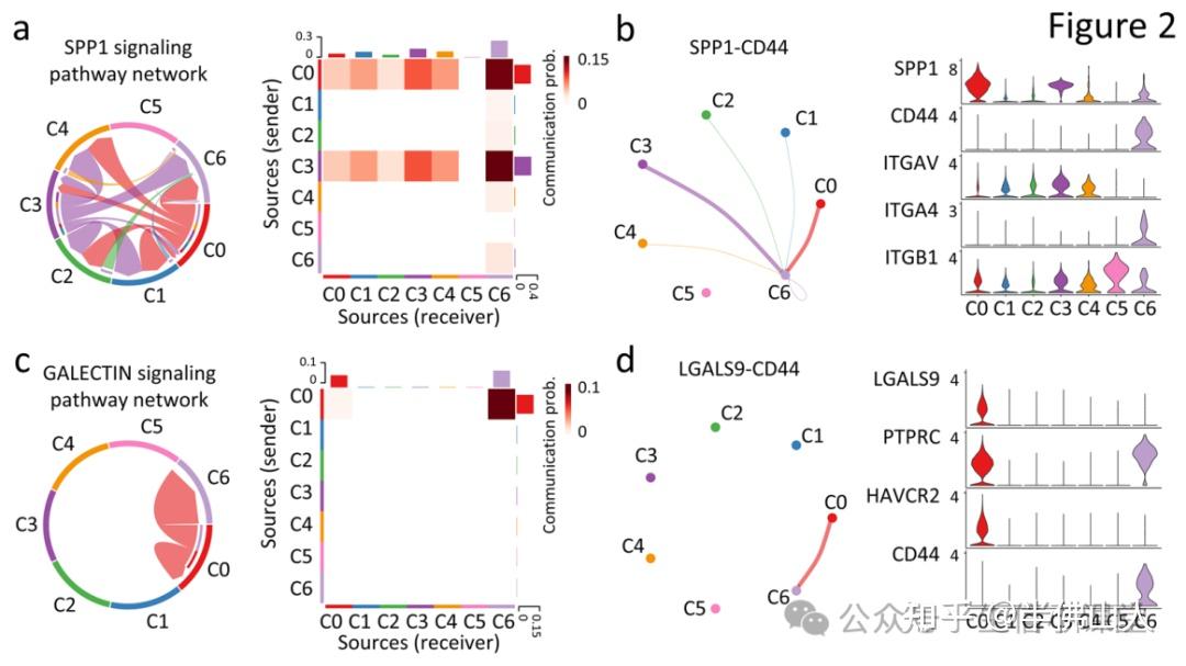 最新7.5分纯生信，针对SPP1+TAM的分析，思路清晰逻辑合理，值得学习！ - 知乎