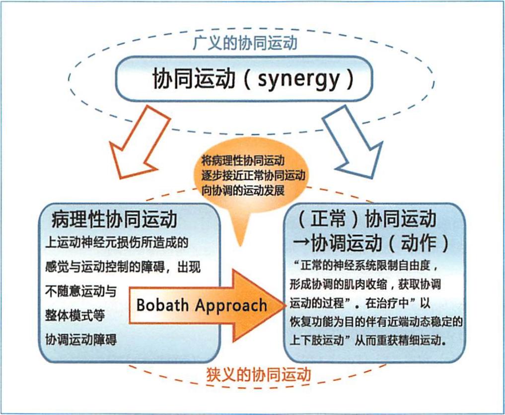 如何理解“协同运动（Synergy）” - 知乎