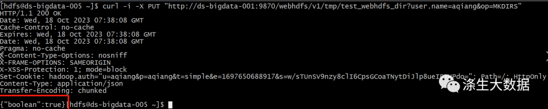 Webhdfs Rest Api 企业实战:大佬手把手带你堵住漏洞,企业实例解析 知乎