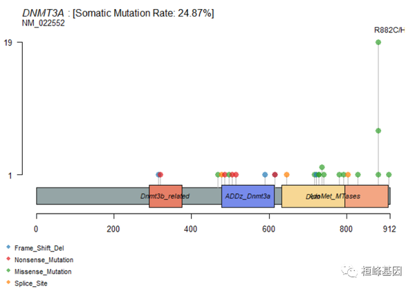 DNA 2. SCI 文章中基因组变异分析神器之 maftools - 知乎