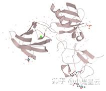 新冠病毒有其他受体(2)：Kremen-1 - 知乎