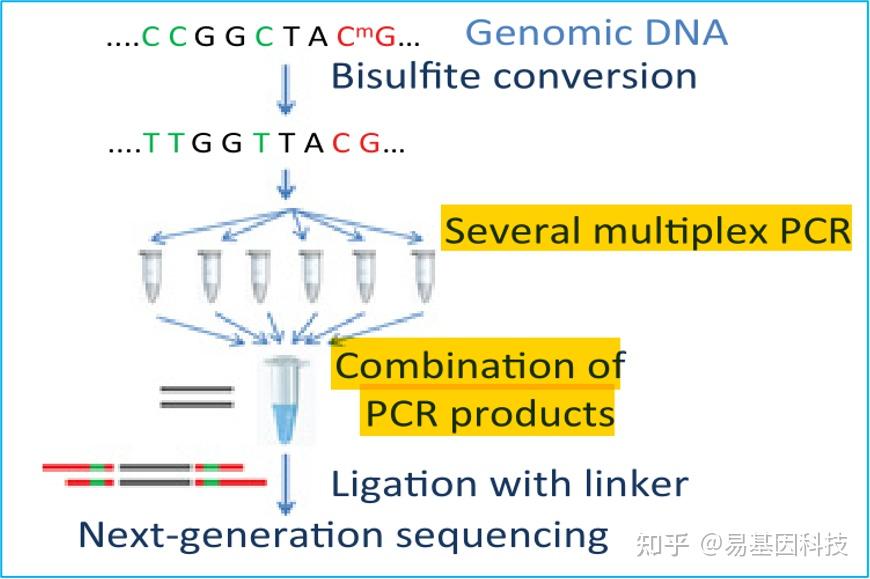 精准DNA甲基化/羟甲基化测序（oxBS-seq）｜技术推介 - 知乎