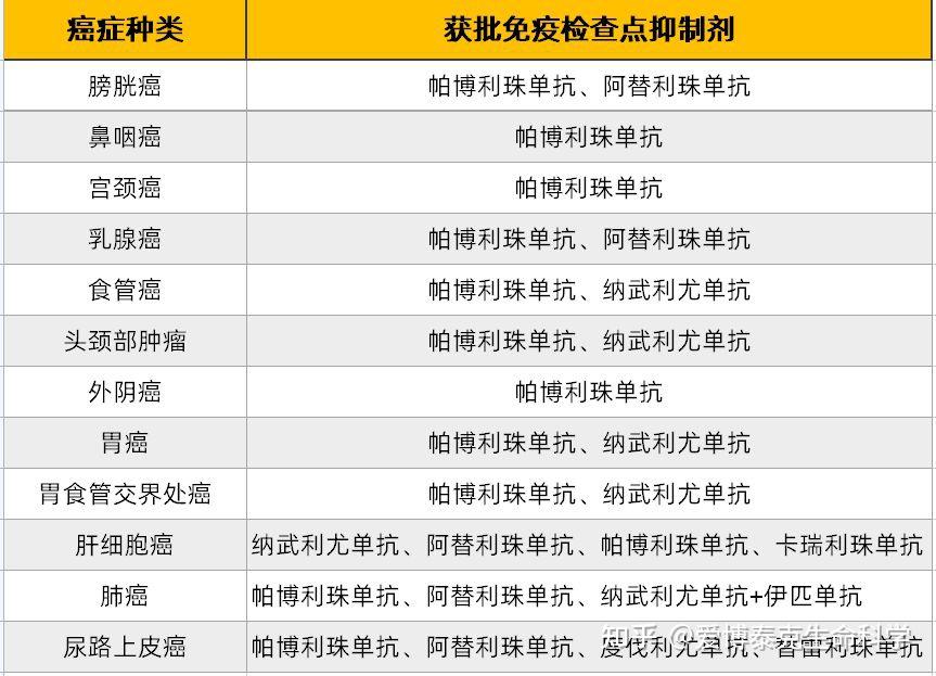 病理ihc专题 免疫检查点抑制剂疗效生物标志物pd L1 知乎