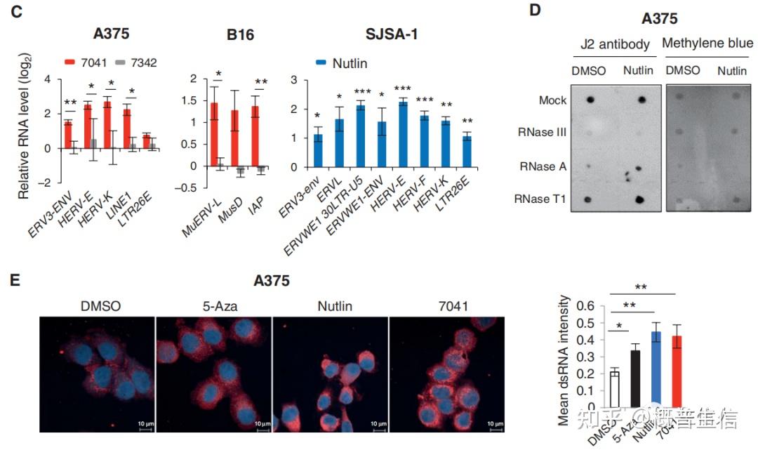 SCI热点| 明星分子P53的研究进展和科研思路 - 知乎