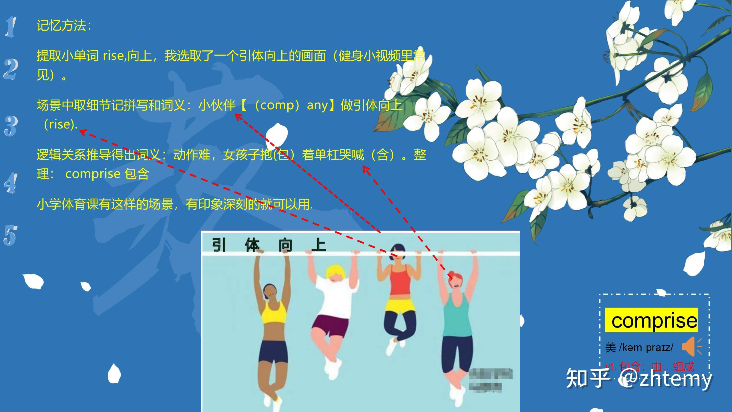 comprise 包含， 由......组成 - 知乎