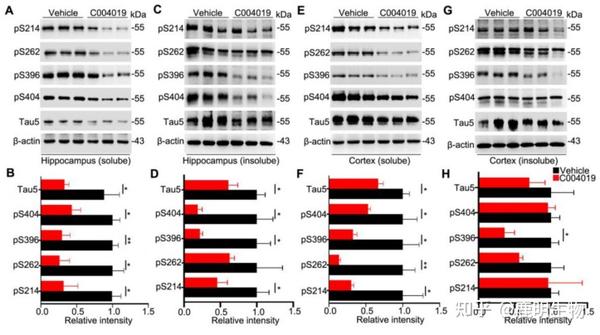 PROTAC降解组学促进tau清除改善阿尔茨海默病样模型中的认知功能 - 知乎