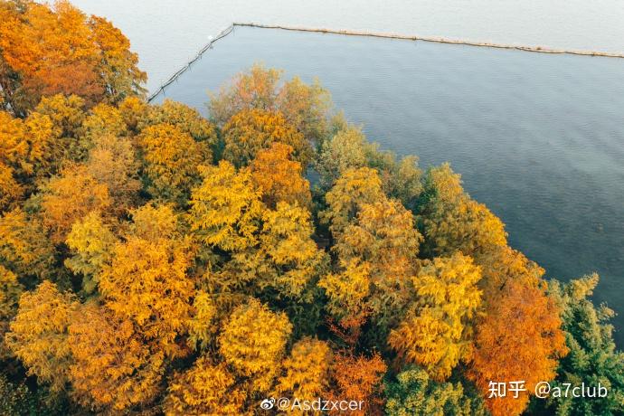 a7club-每日作品精选（2022.11.23） - 知乎