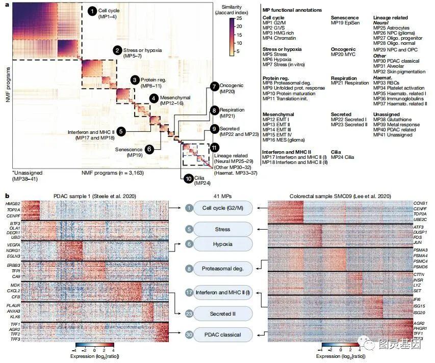 Can Cell | 肿瘤内异质性（ITH）的重复表达模式及其功能 - 知乎