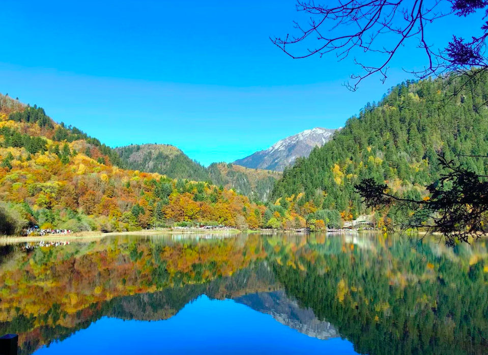 遇见DeepSeek(6)：R1-0528小版本升级，大能力突破 - 知乎