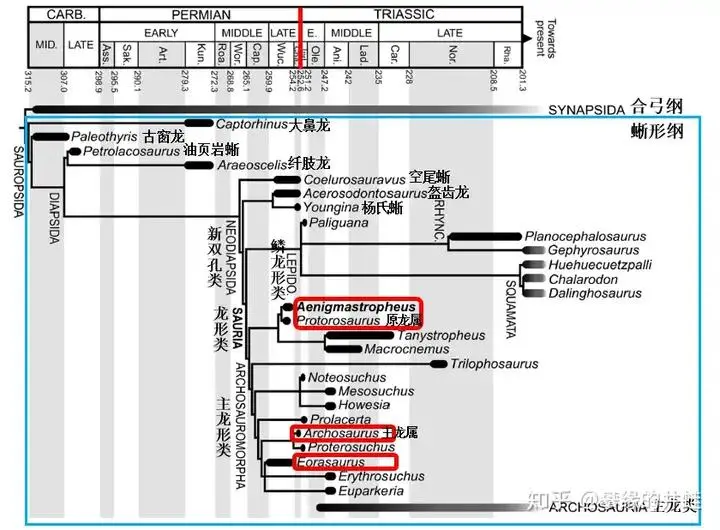 二叠纪四足动物——蜥形纲初探海空，龙形类静静潜伏 - 知乎