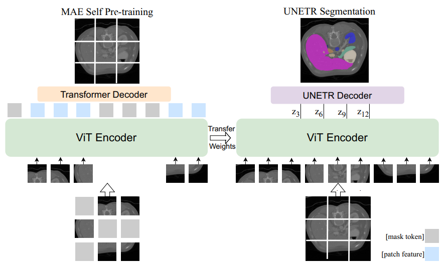 SBU&上交提出：使用 MAE 进行医学图像分析的自预训练 - 知乎