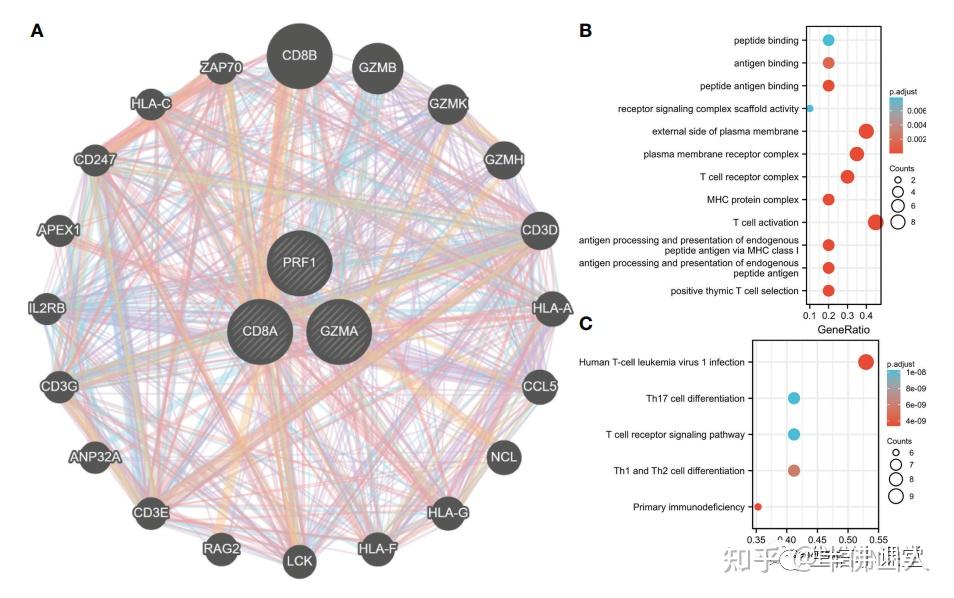 8+非肿瘤结合泛癌纯生信，识别CD8T细胞相关的hub基因，思路新颖值得模仿！ - 知乎