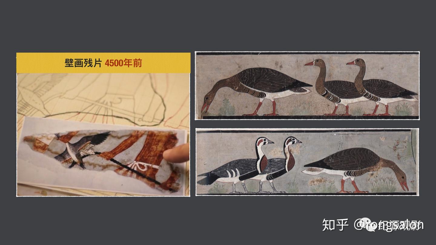 高清图文 | 古埃及的瑰宝 - 知乎