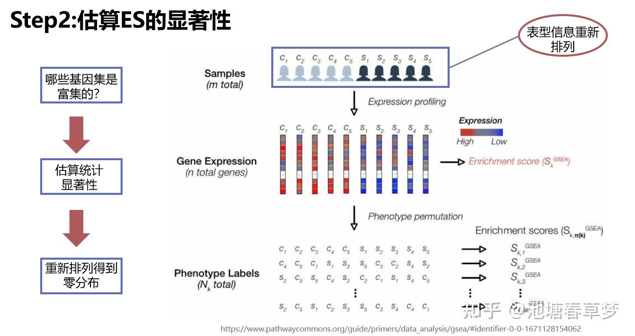 GSEA论文讲解（Gene set enrichment analysis） - 知乎