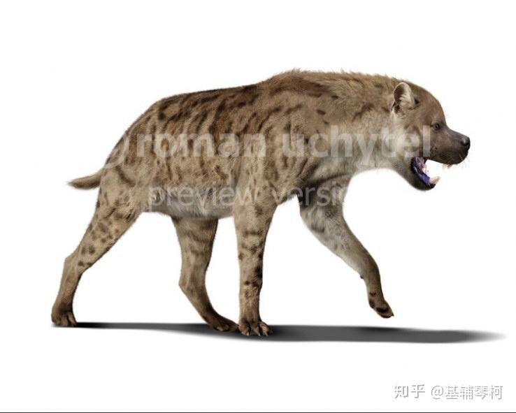 新生代巨兽猛兽与其他掠食者精简名录：古兽争锋榜（新近纪篇） - 知乎