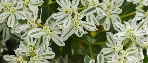 NLP（一百零二）ReRank模型微调实践 - 知乎