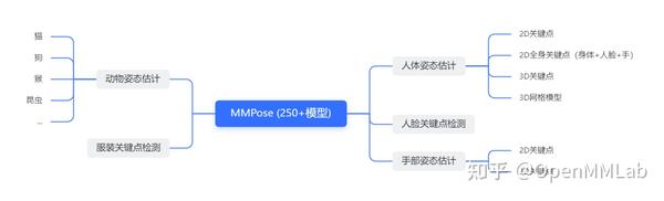 爱上她的 N 个理由！OpenMMLab 姿态估计工具箱：MMPose - 知乎