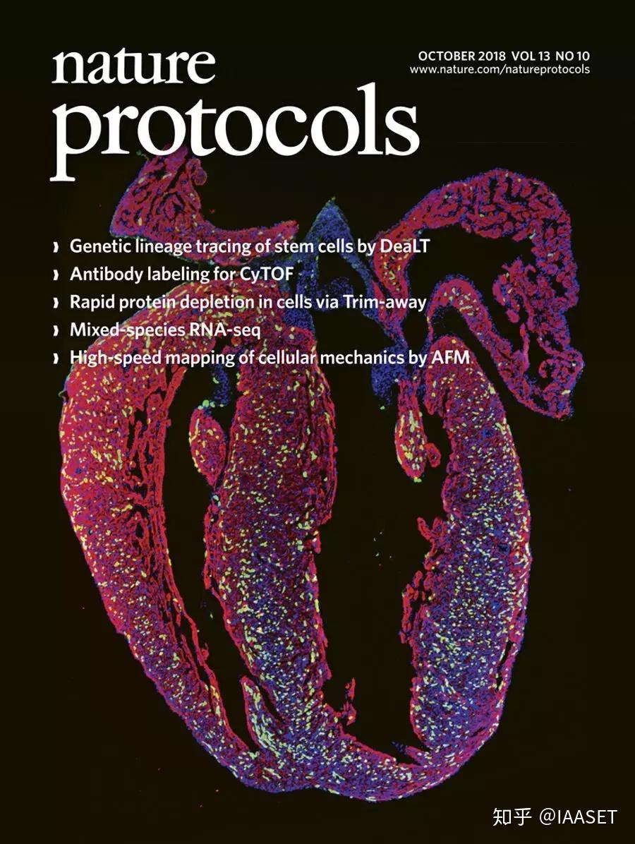 10月Nature子刊的45张封面，你pick哪一张？ - 知乎