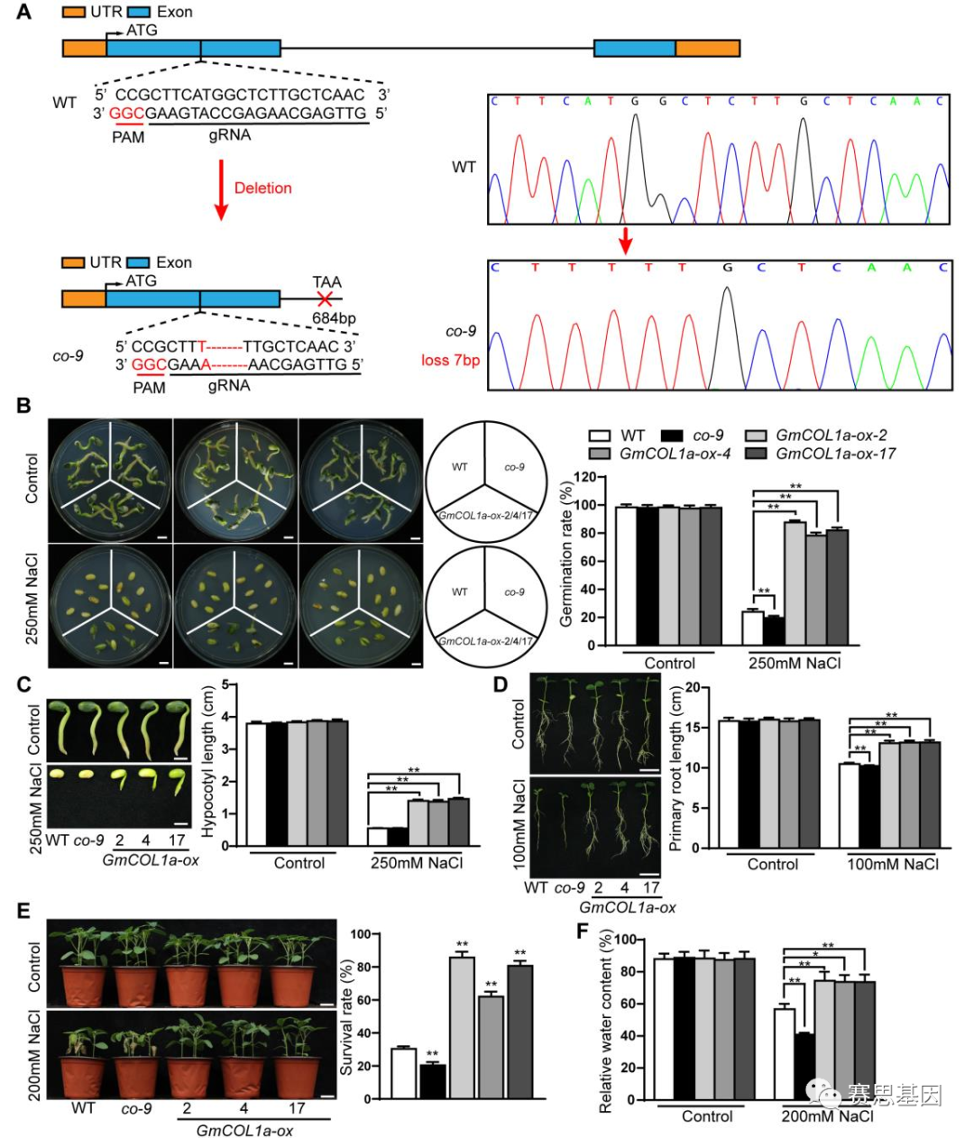 CONSTANS-LIKE 1a 正向调节大豆的耐盐耐旱性 - 知乎