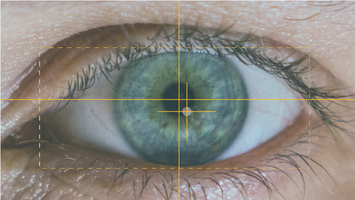 关于眼动技术(Eye Tracking)你想要知道的内容 - 知乎